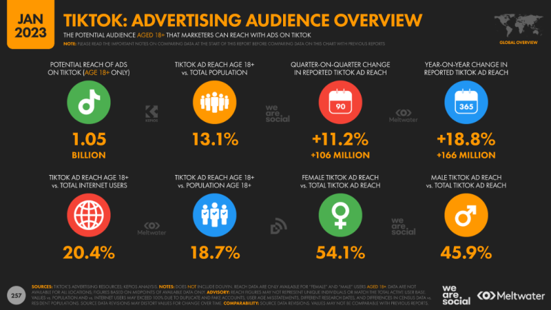 TikTok Demographics and Usage Statistics For Business (2025)