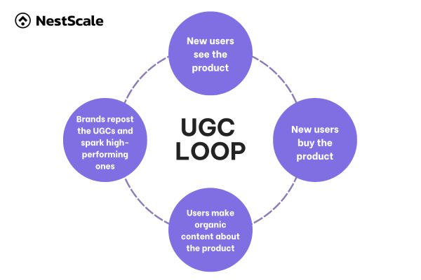 UGC TikTok: Definition, Examples & Best Tips with Growth Loop