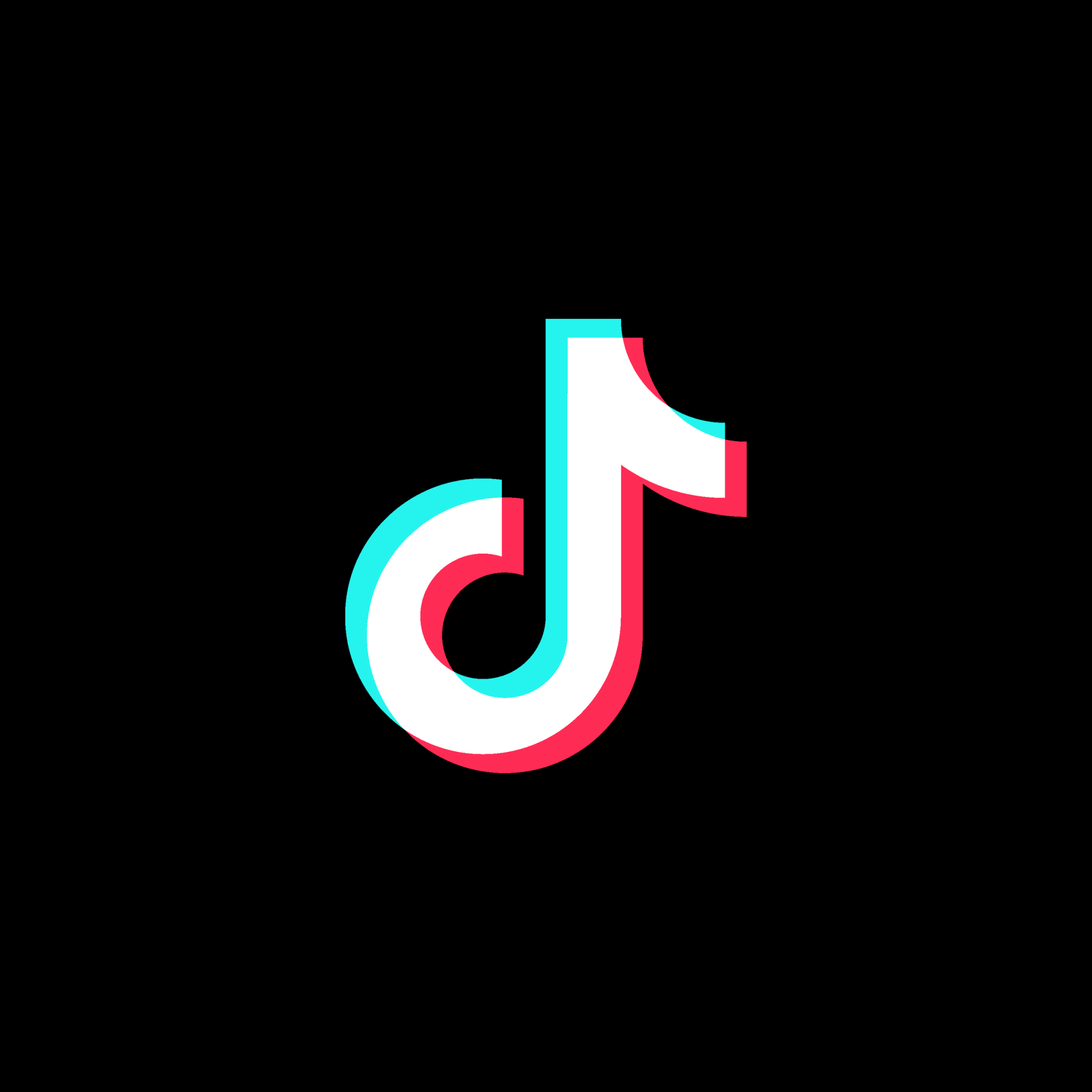 TikTok Brand Guidelines for Maximizing Your Business Success