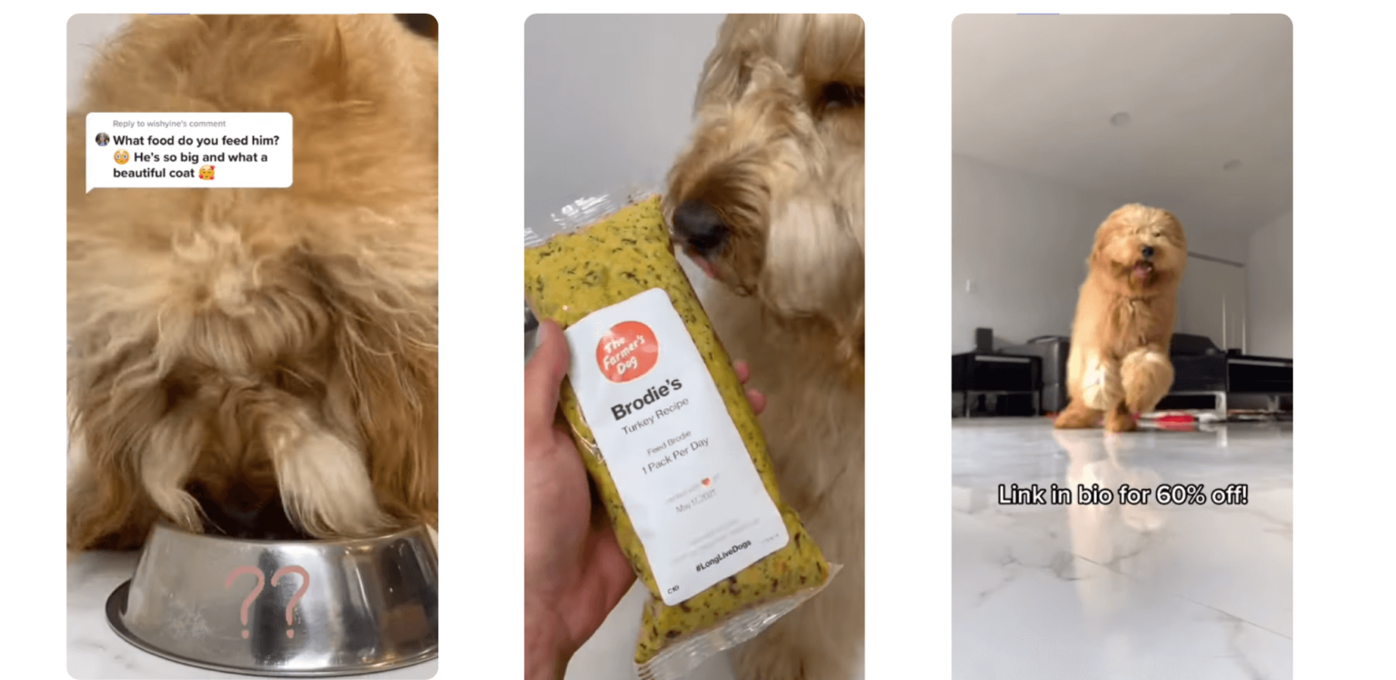 17 Best TikTok Ad Examples of 2025 (& How They Work)