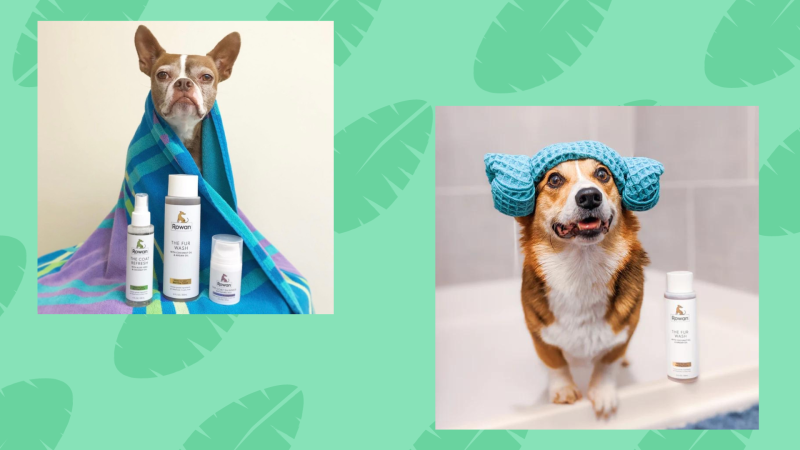 Best Shopify Ads Examples: 9 Success Stories to Get Inspire