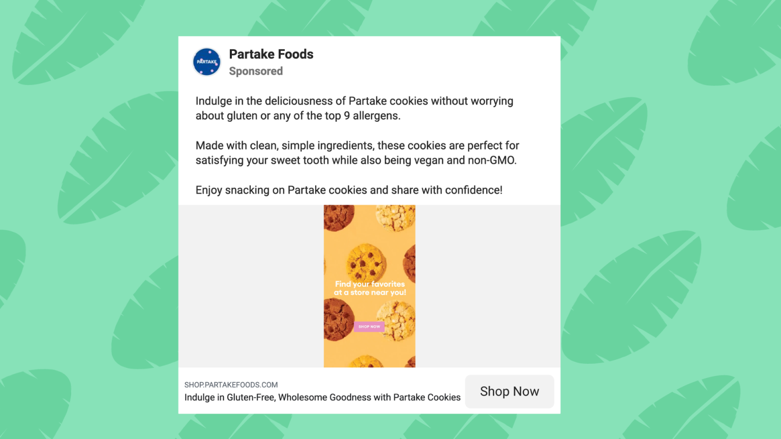 Best Shopify Ads Examples: 9 Success Stories to Get Inspire