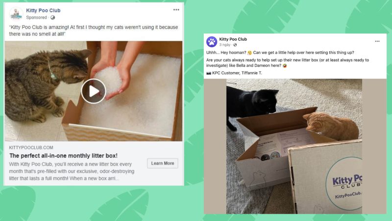 Best Shopify Ads Examples: 9 Success Stories to Get Inspire